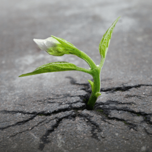 What is Grit and How Do We Cultivate it? Tips to Increase Resilience
