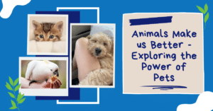 Animals Make Us Better: Exploring the Power of Pets